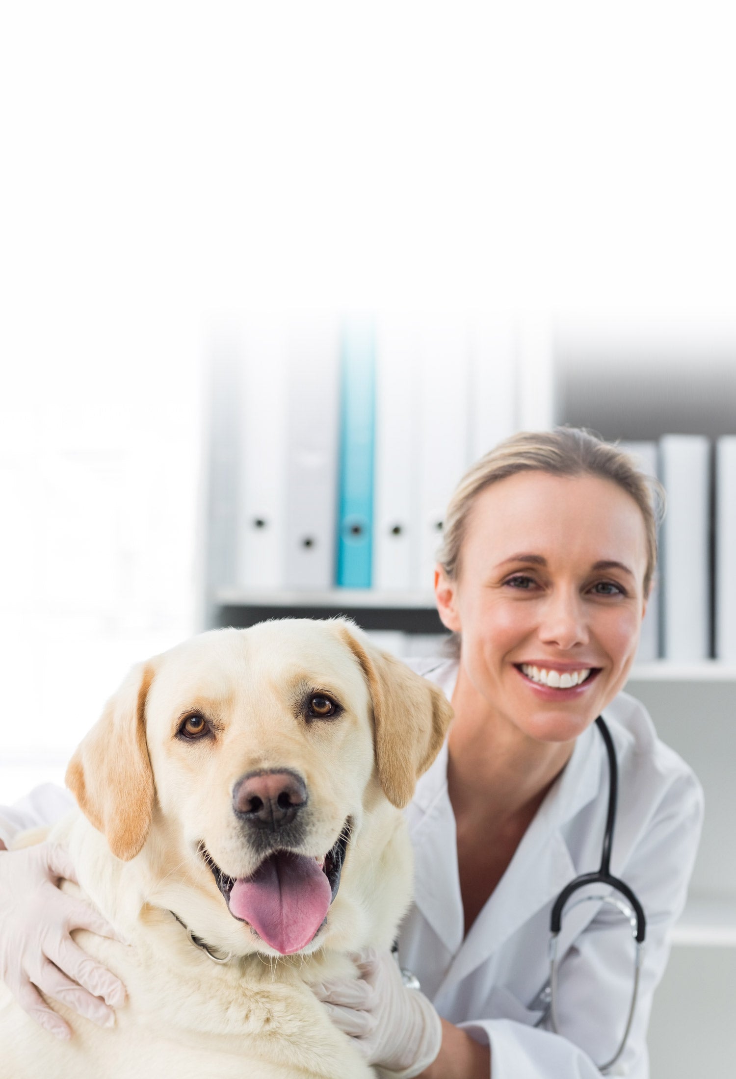 Vet Buyers Direct – VetBuyersDirect